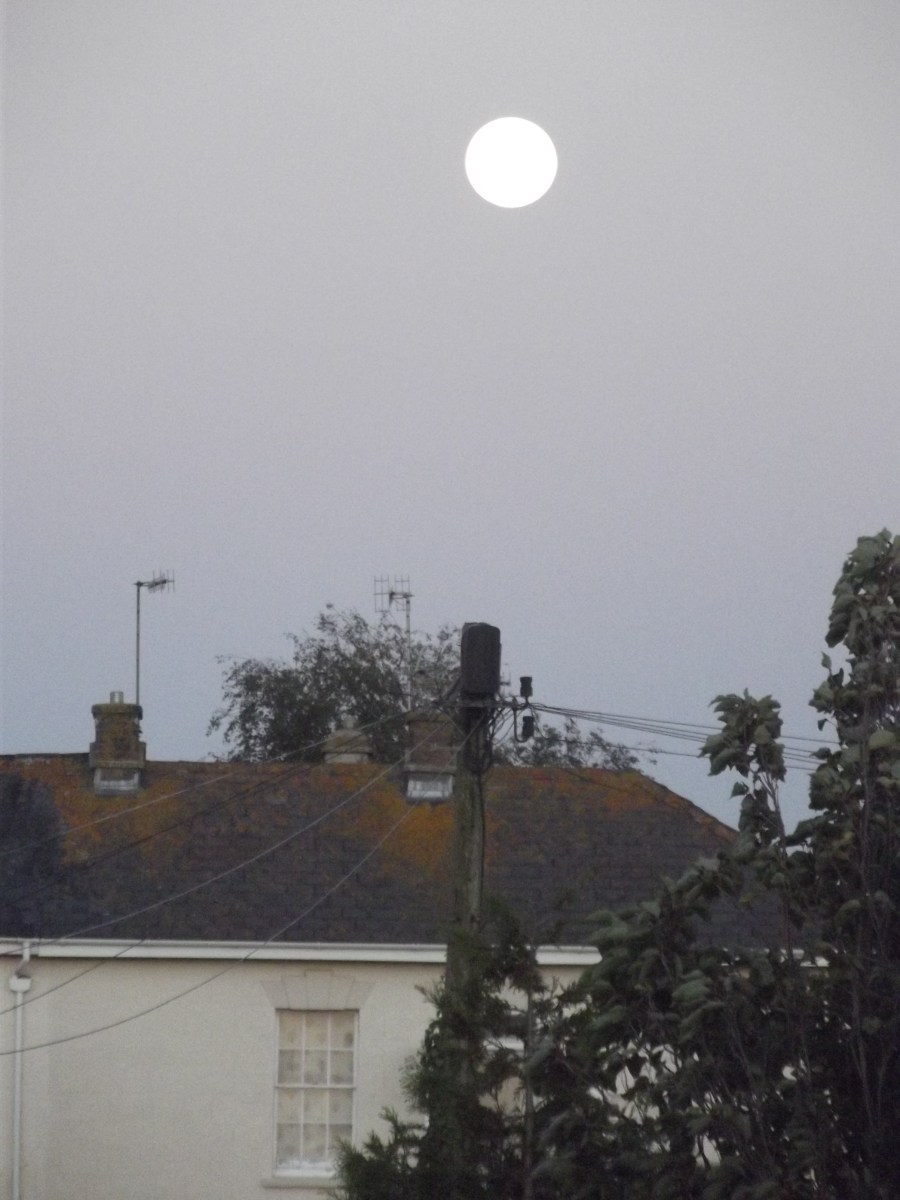 100/100 CHALLENGE 35: the light is fading from the sky – Lois Elsden