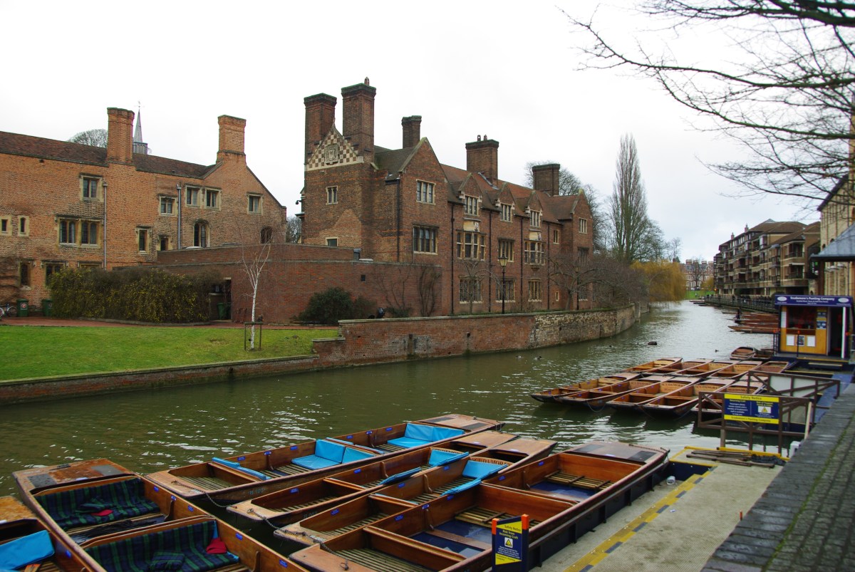 College pudding – Lois Elsden