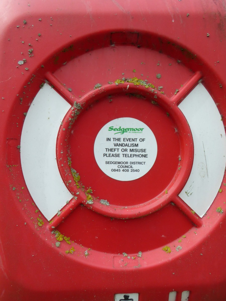 Mumble, mutter and murmur – Lois Elsden